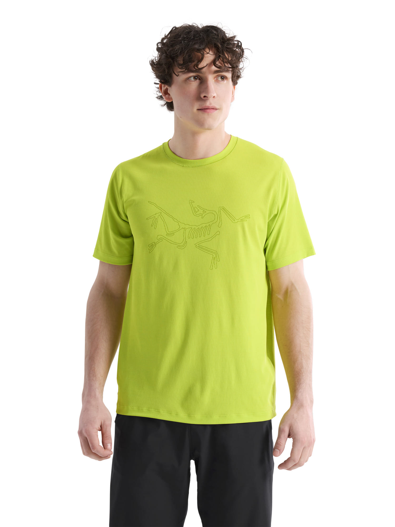 Arc'teryx Cormac Logo SS M T-Shirt mantis XL - Transa.ch